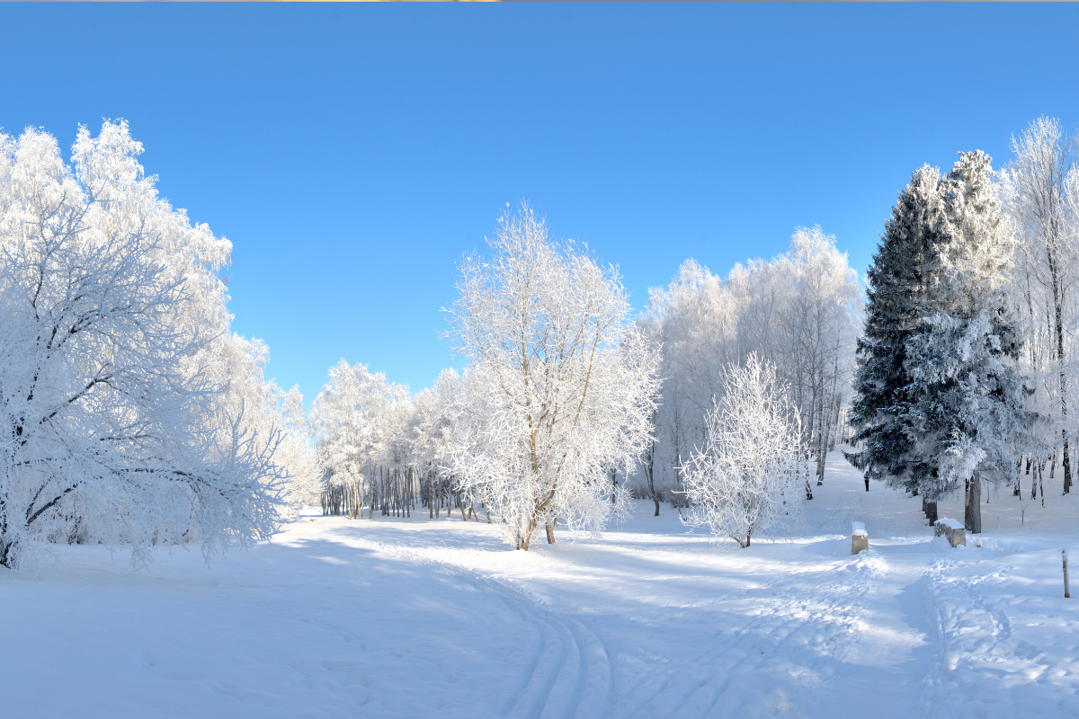 The 5 Coldest Countries In The World - Alliance Work And Travel